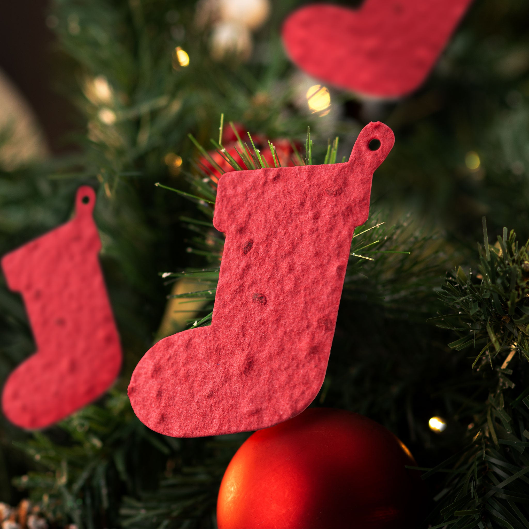 Roamwild Seeded Paper Shapes - Pack Of 50 (Christmas Stocking)
